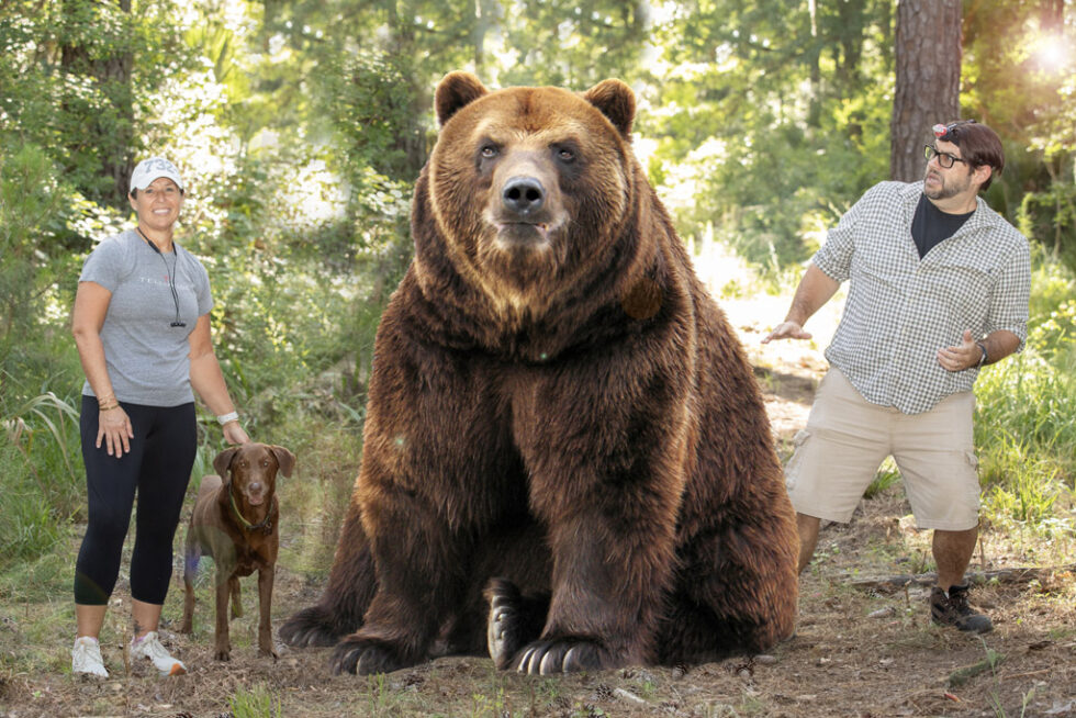 A Line In the Sand: Man Vs. Bear - CH2